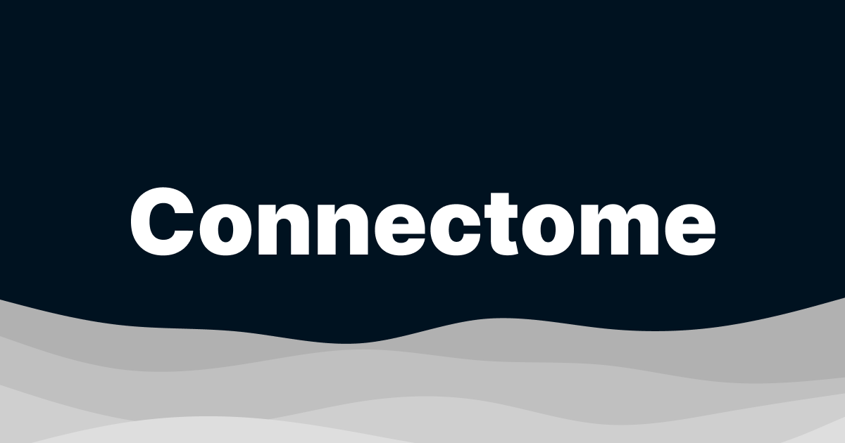 Connectome | Building a Data-Driven Business with Ease